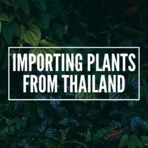 Importing Plants to the US | USA Customs Clearance