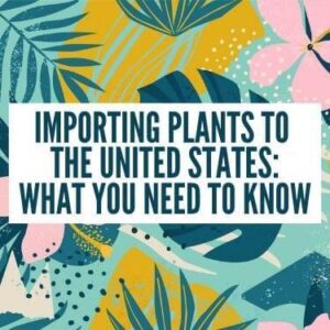 Importing Plants to the US | USA Customs Clearance