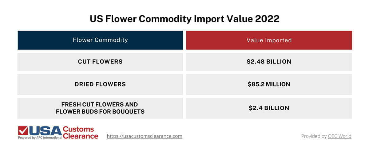 Essential Rules To Follow When Importing Flowers Into the US | USA ...
