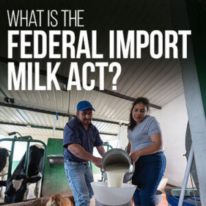 Importing Dairy Products into US: Surviving The Regulations